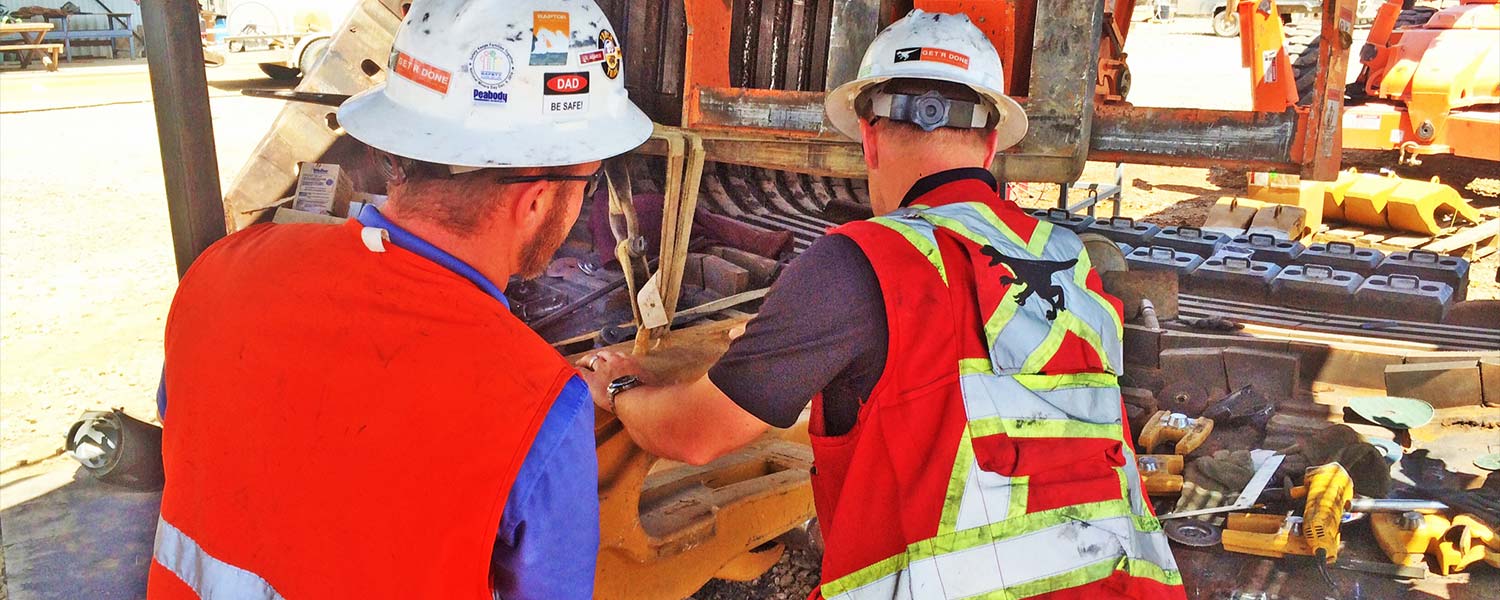 About Raptor — Raptor